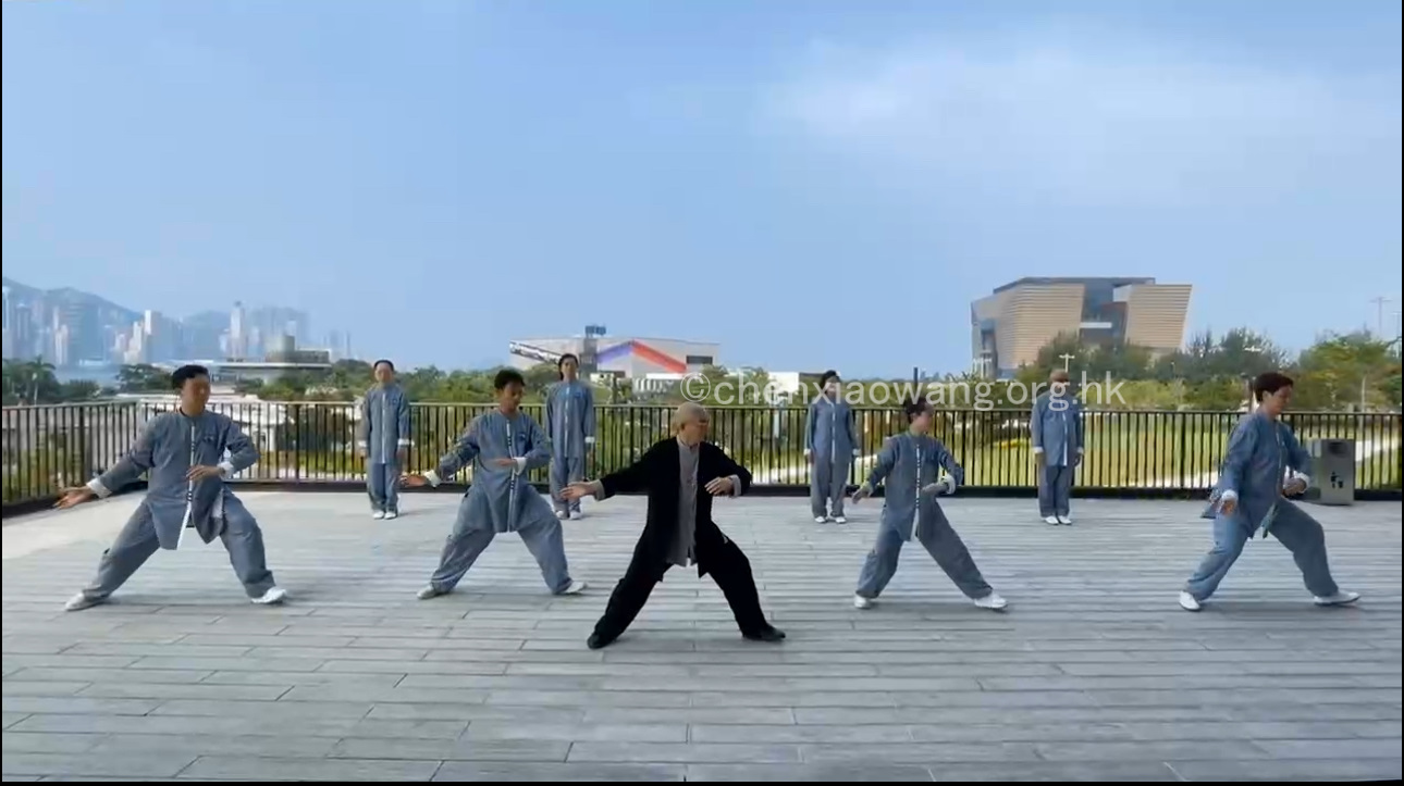 Other Taijiquan Promotion Activities: